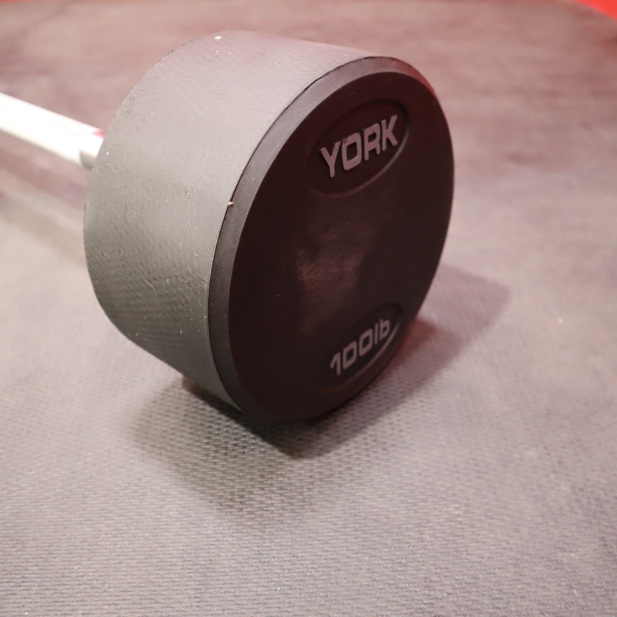 York Fixed Straight Rubber Weighted Barbells (New) | Discount ...